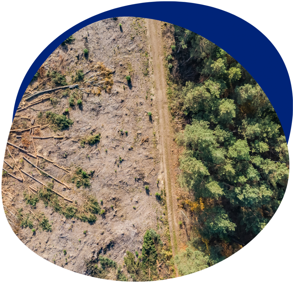 The new challenges and impacts of climate change on the world of work ...