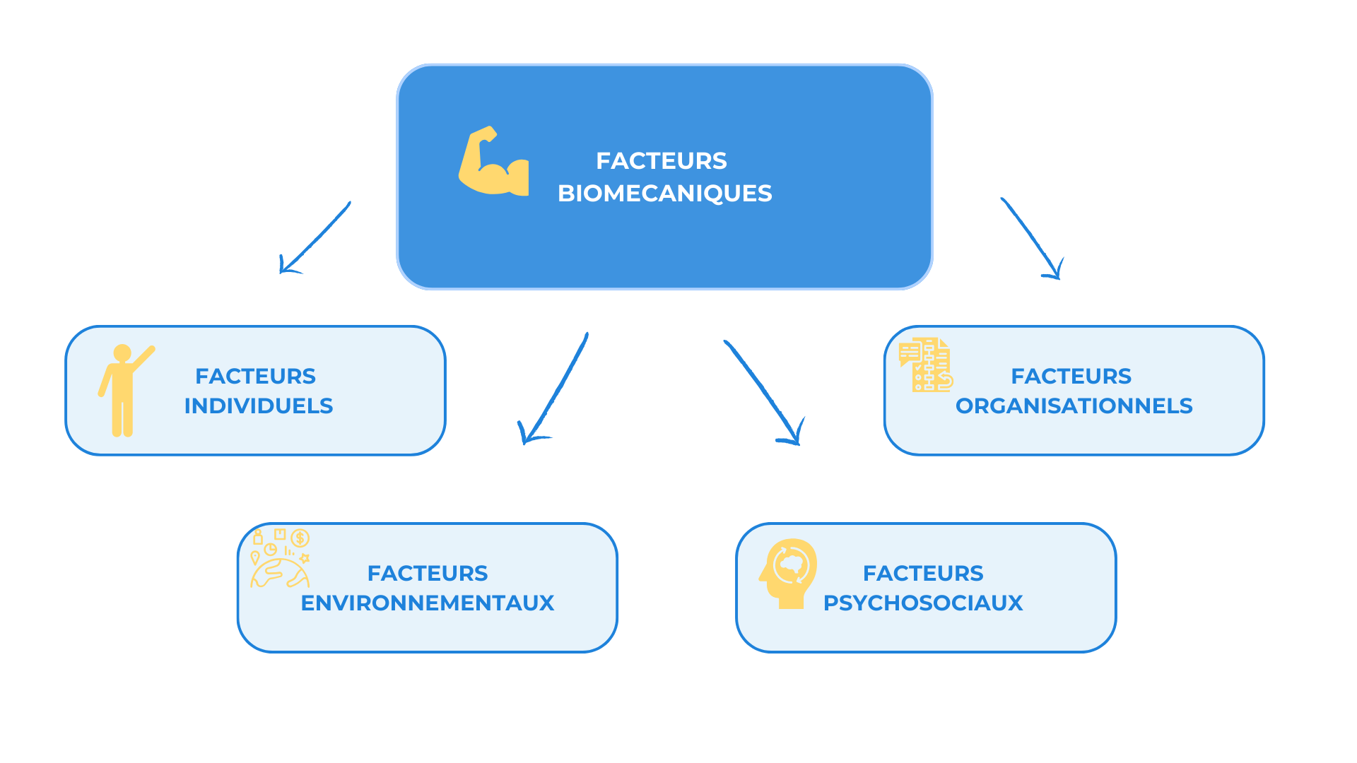 L’exercice physique au service de la prévention des TMS ? - Moovency